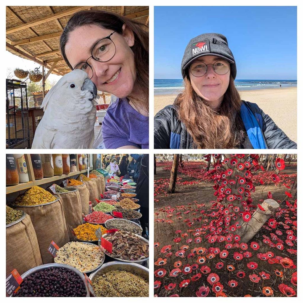 Israel 2025: Heartbreak and Hope – A Wider Bridge